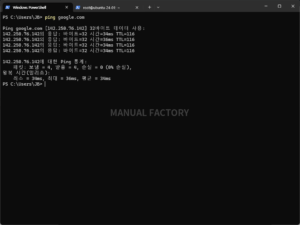 네트워크 / 핑 테스트(ping test) – MANUAL FACTORY